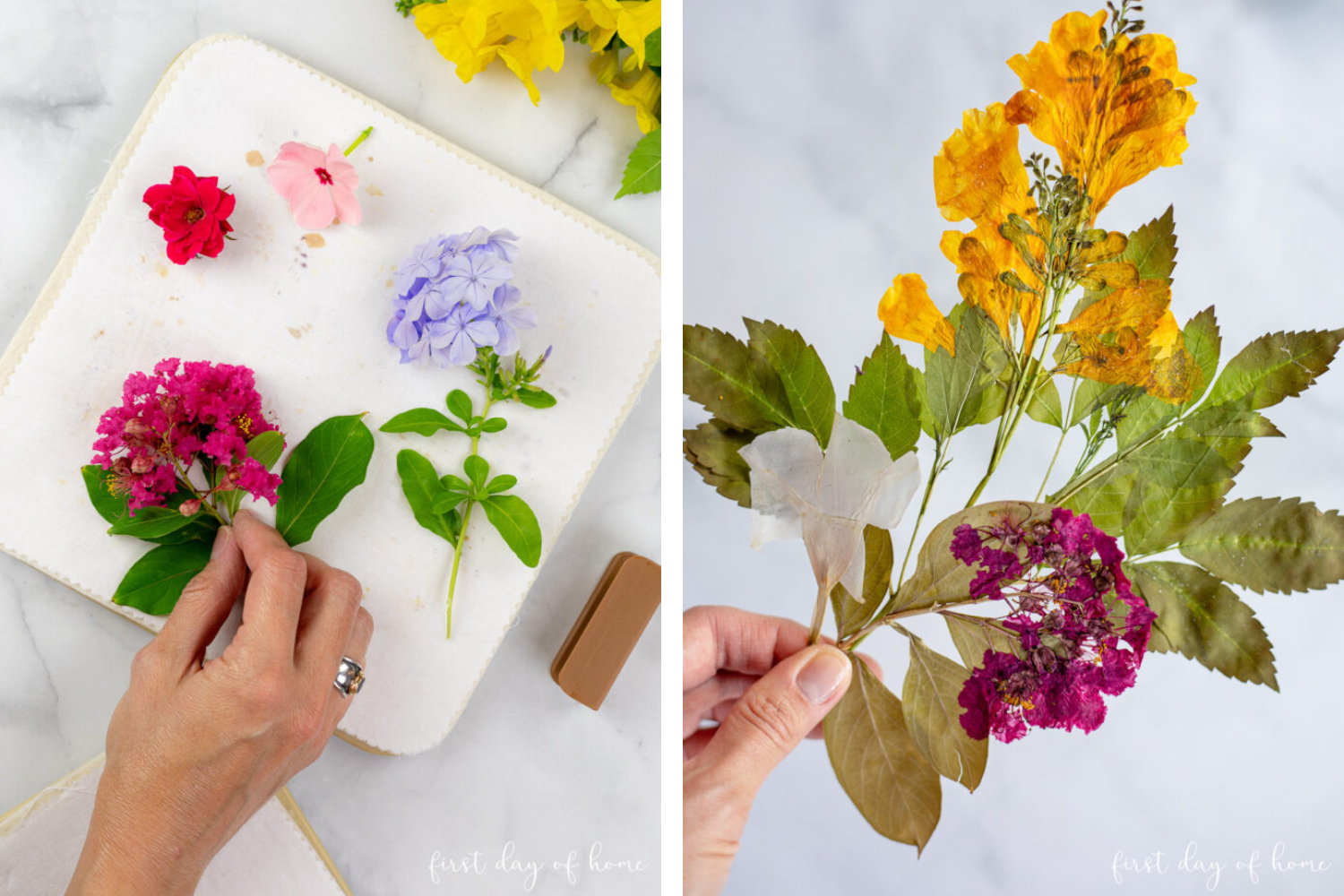 How to press flowers at home: 4 easy methods to try - Crafts on display