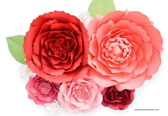 DIY tutorial: giant poppy paper flowers - Crafts on display