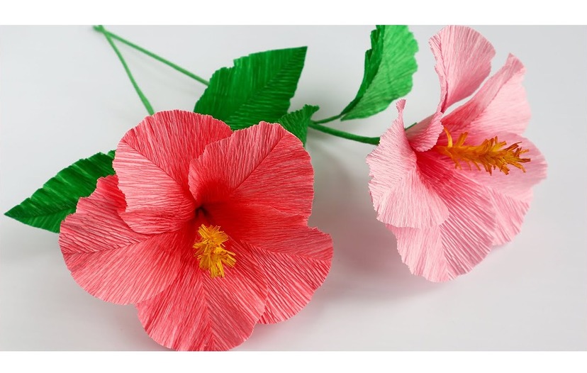 Hibiscus paper flower tutorial - Crafts on display