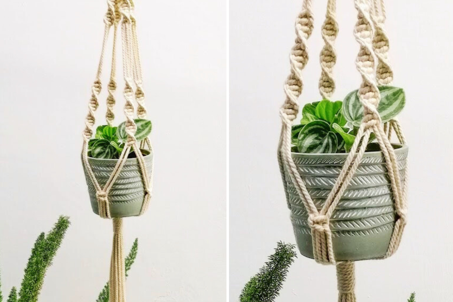 DIY spiral knot macrame plant holder for beginners - Crafts on display